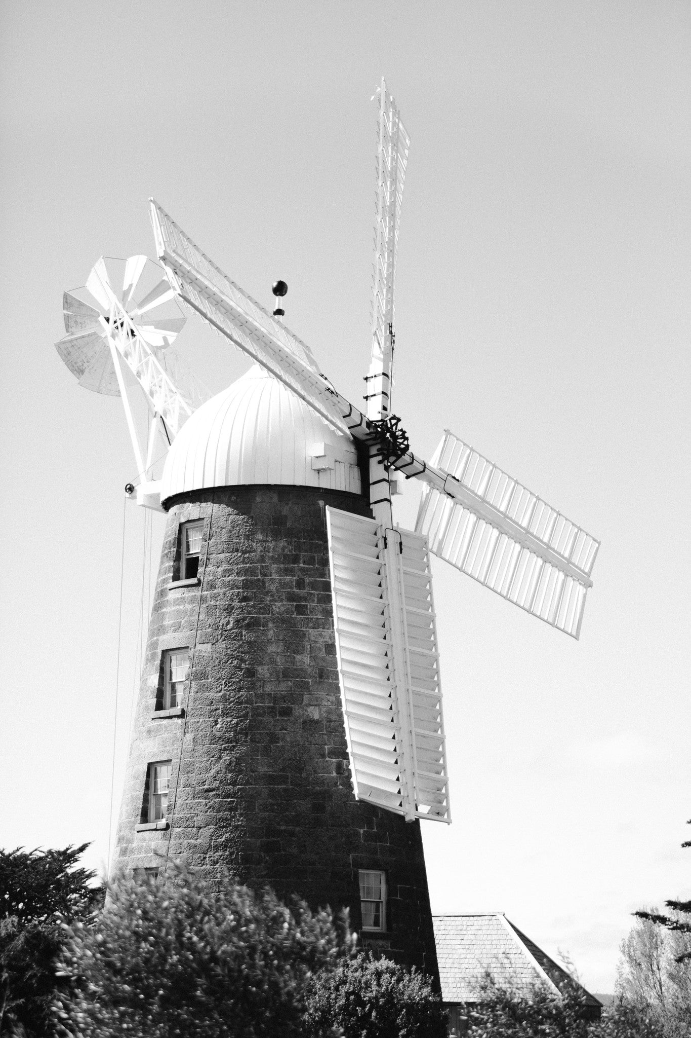 Oatlands Windmill Photographic Print – Emily O'Brien
